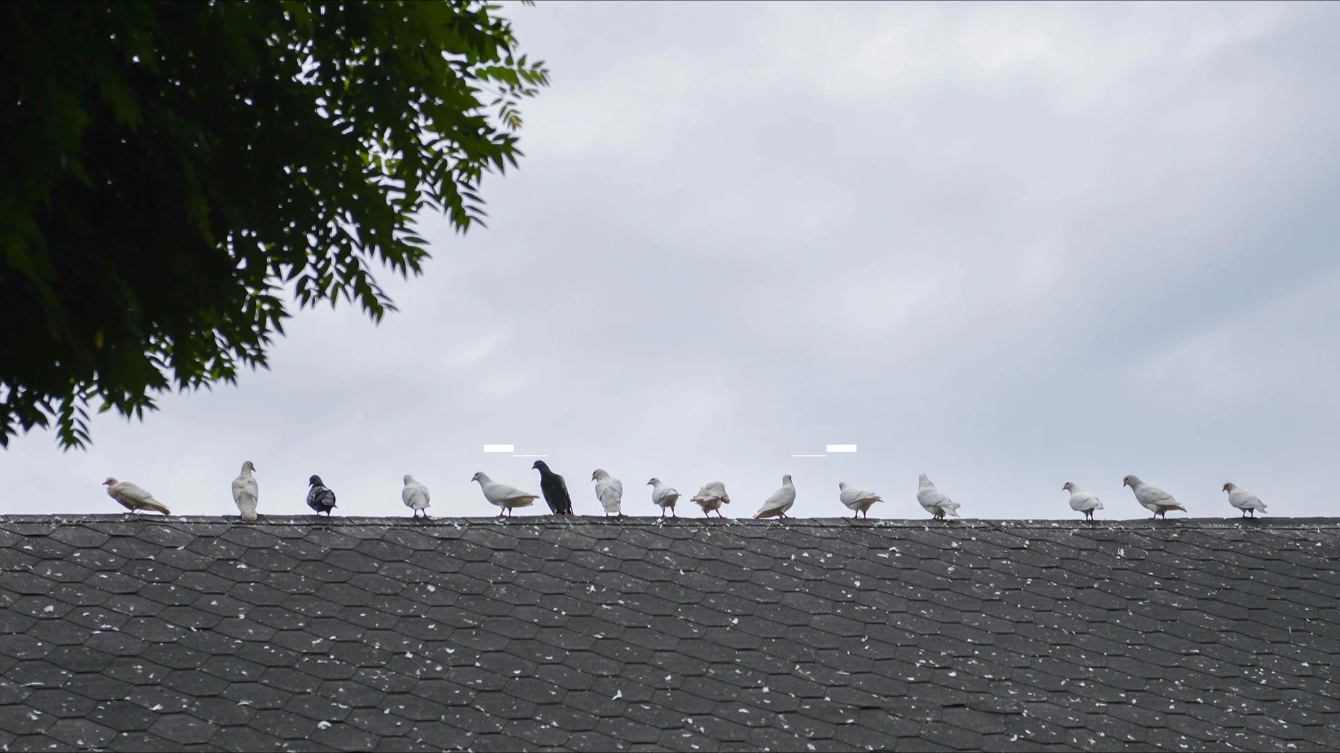 【vlog】“遍历滕头景,探寻治理路”社会实践活动Day1