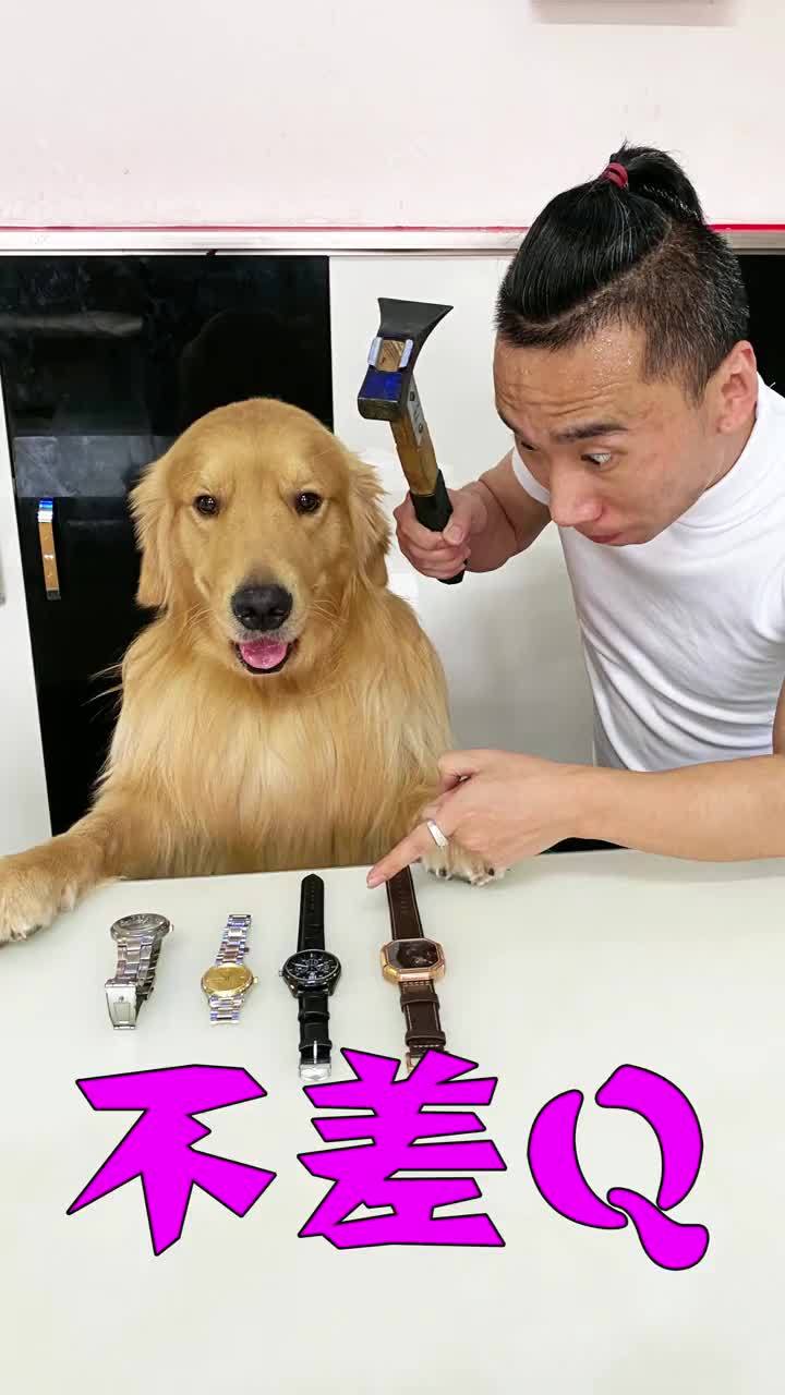 修一回表,逗逼强一下又回到解F前啦。#萌宠出道计划