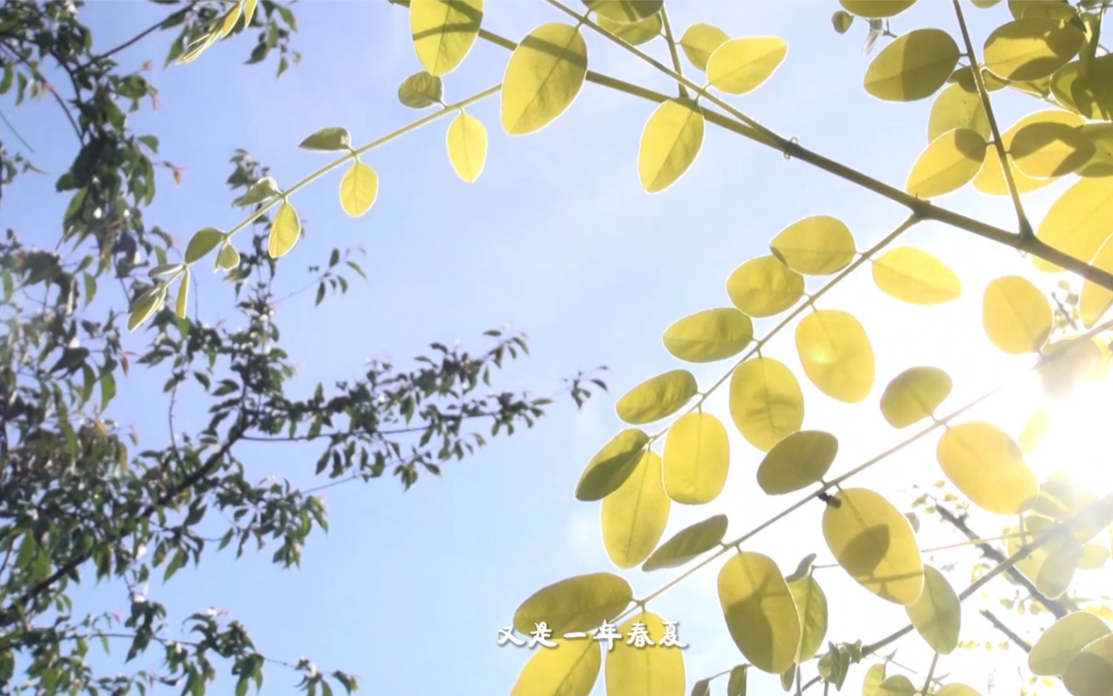 毕业设计—最好的我们(献给自己的毕业礼物)