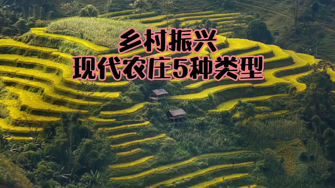 返乡投资5种类型现代农庄,农村一二三产业融合发展,助推乡村振兴
