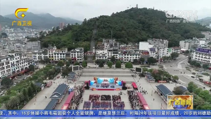 党旗领航·电商扶贫“我为家乡代言”隆林电商大集直播活动举行