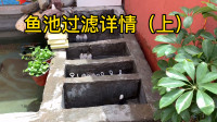 锦鲤鱼池上自制假山流水锦鲤鱼池过滤,详细解说上