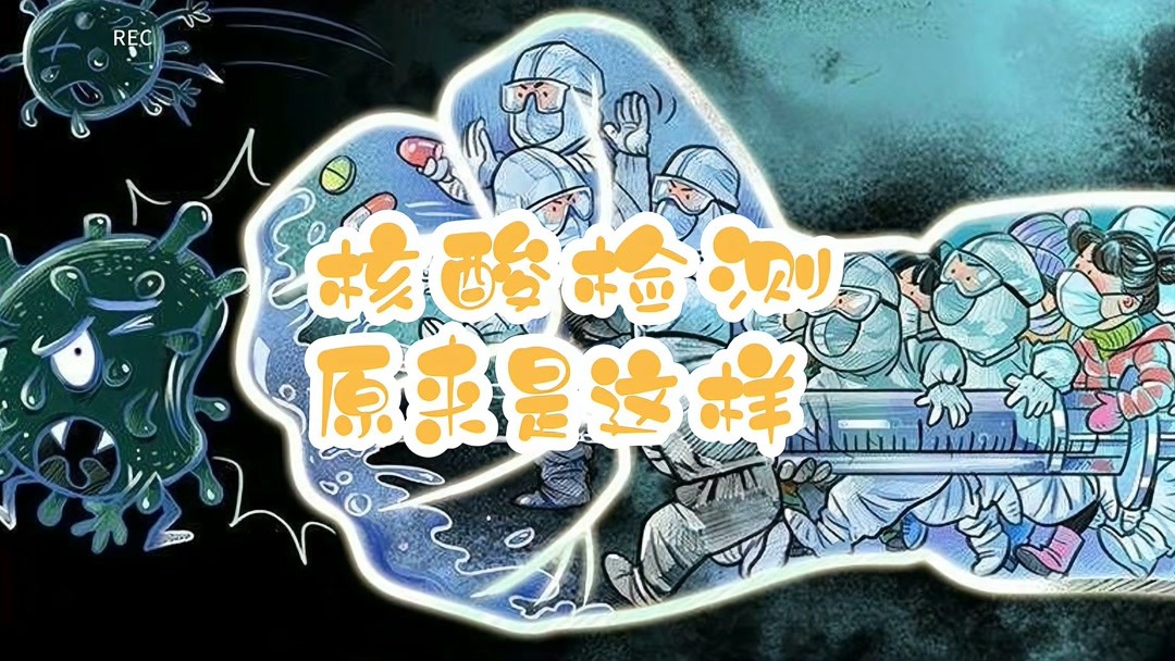 核酸检测的原理,从采集到提取,再到检测。感谢医务人员的奉献。