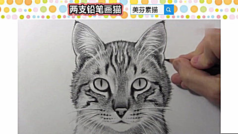 创意素描画小动物教程,教你用两只铅笔画一只可爱的小猫!