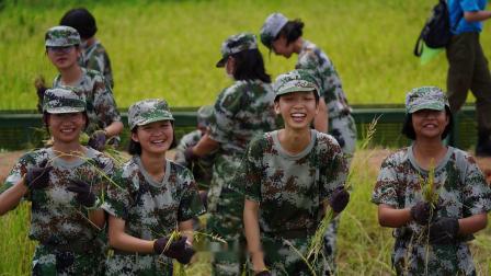 孩真友趣 · 劳动实践教育系列