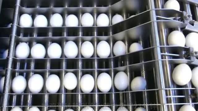 5种日常用品的工厂制作过程,从此解放双手?