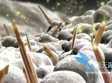 2005三维病毒病菌病原体分离细胞微生物原理动画演示