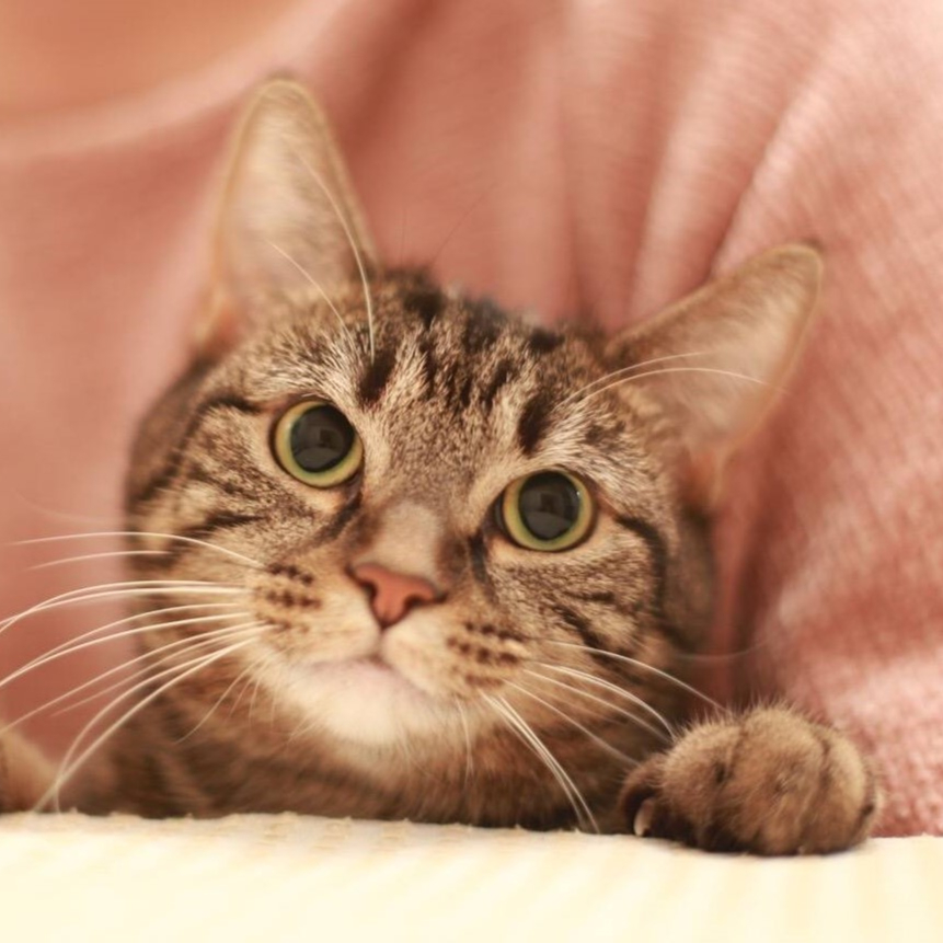 复古韩流杂货铺 