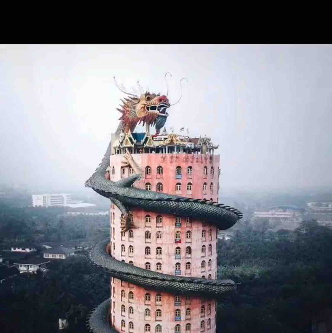 王子14888888 