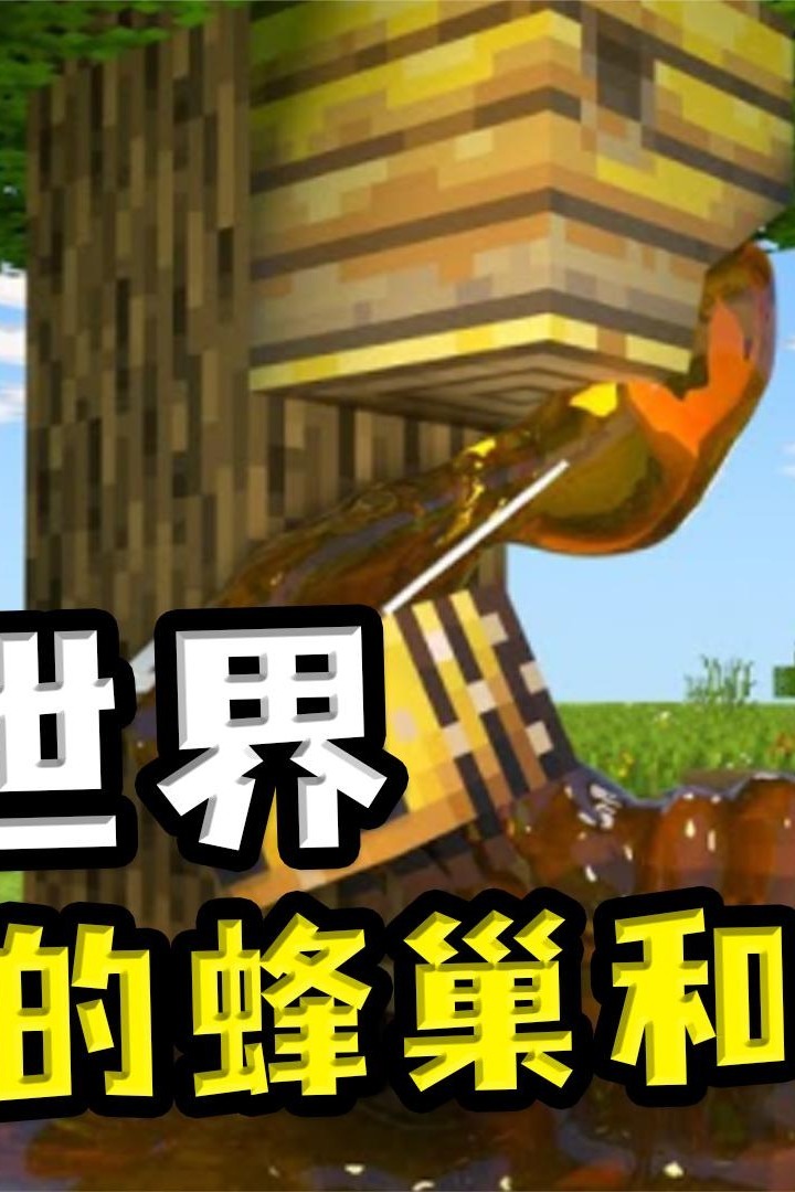我的世界:你见过MC里最真实的蜂蜜和蜂巢?蜂蜜流了一地