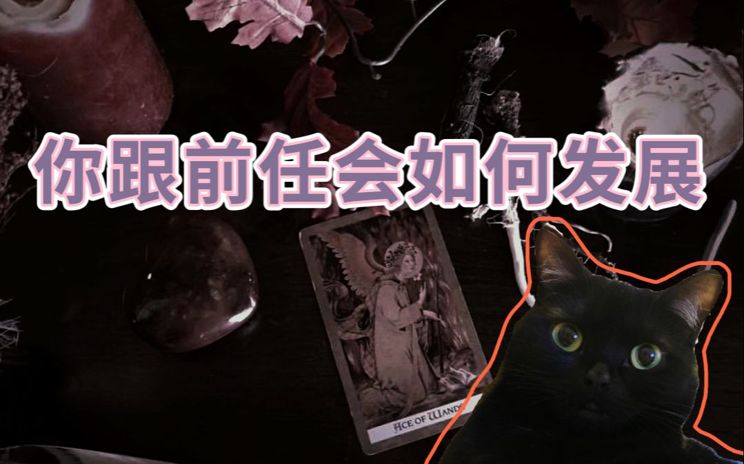 ...牛奶有个小黑猫】你跟前任会如何发展?你的前任还会来找你吗? 塔罗...