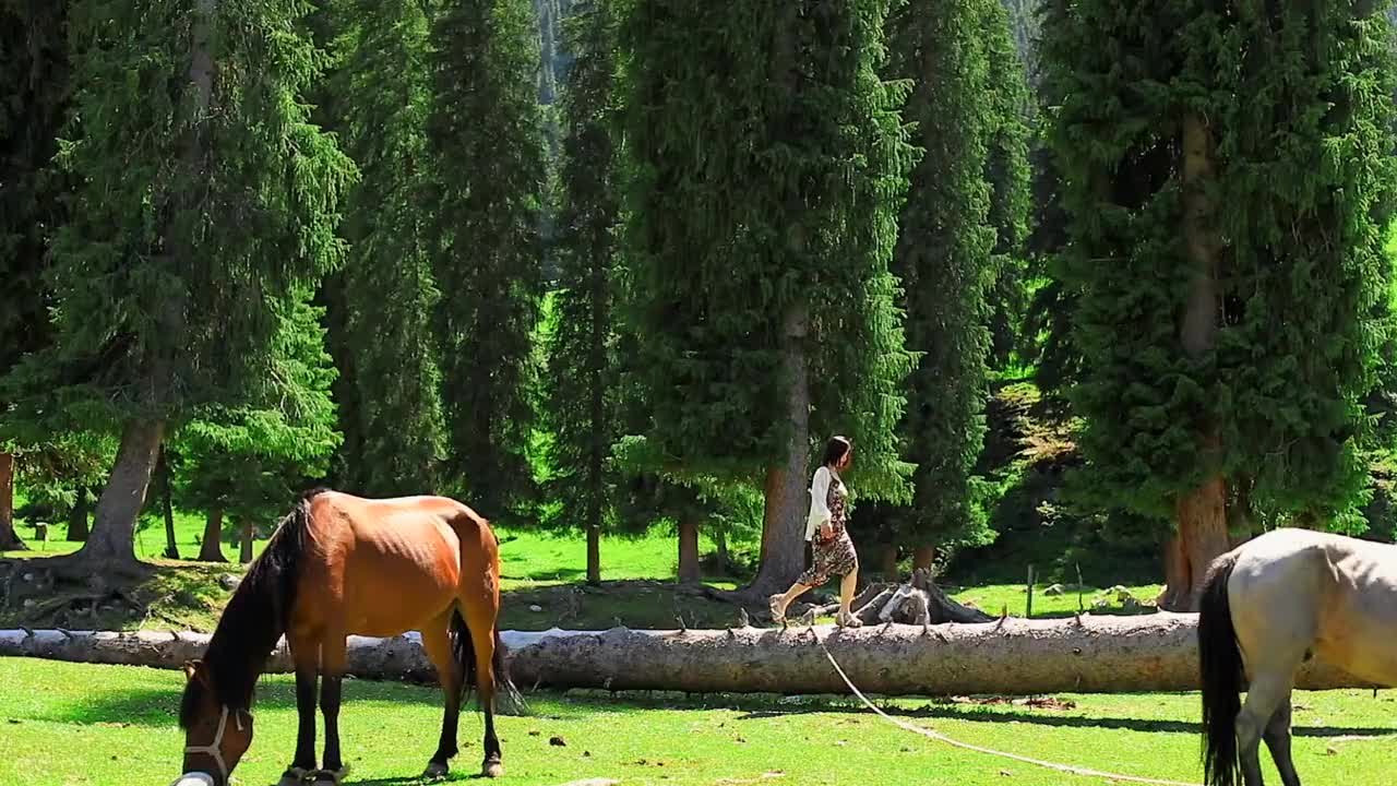 273_一个人的森林一个人的白马一个人的旅行185720112054