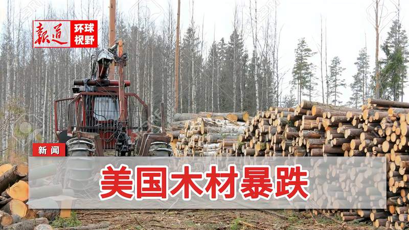 泡沫破裂!美国木材价格暴跌40%,所幸中国早已做好准备