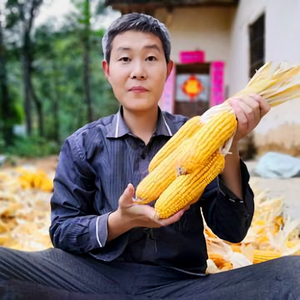 万方东秦岭原生态食材 