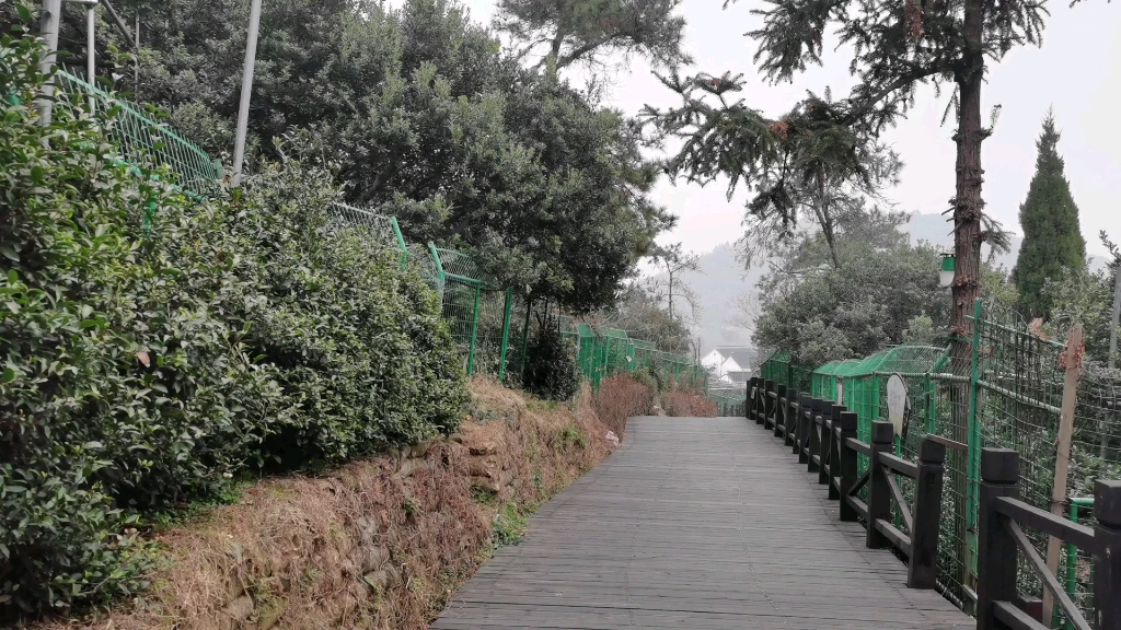 电视剧《完美伴侣》部分取景地