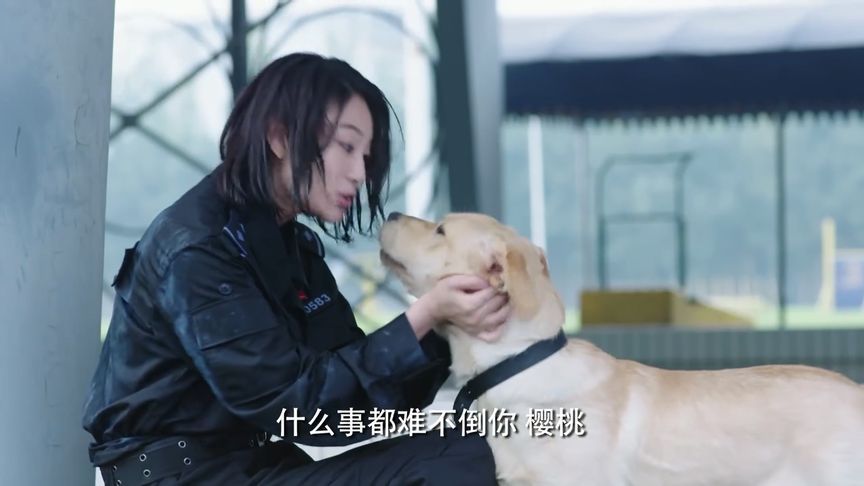 警花和樱桃已达到心有灵犀地步,樱桃不靠气味,凭感觉就能找到她