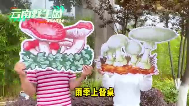 【食品安全】安全食用野生菌