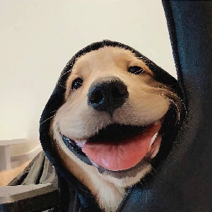 鸡毛山上不下雪 