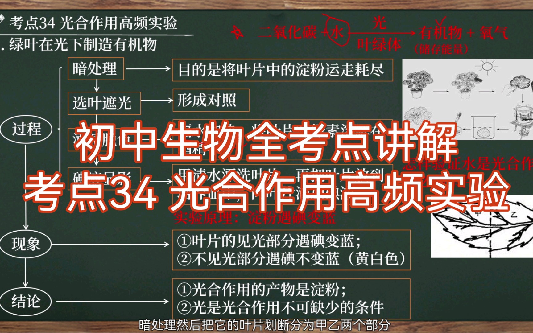 【初中生物全考点讲解|七上】考点34 光合作用高频实验