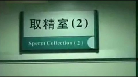 实拍人工授精全过程