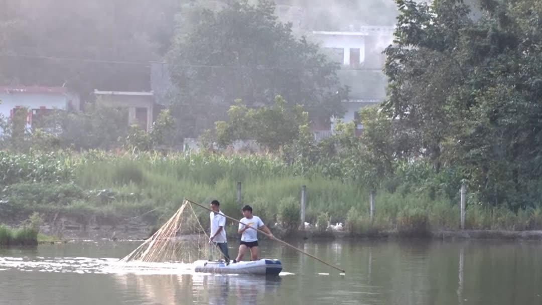 农村小伙在水库撒网捕鱼,渔网还没撒完,就有大鱼上网了