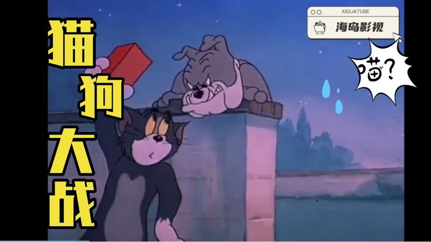 猫和老鼠:这么金典的动画你不来看看吗