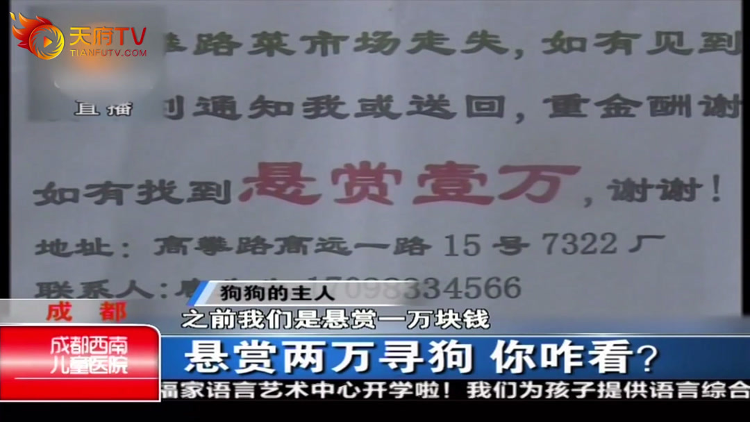 悬赏两万寻狗 你咋看?