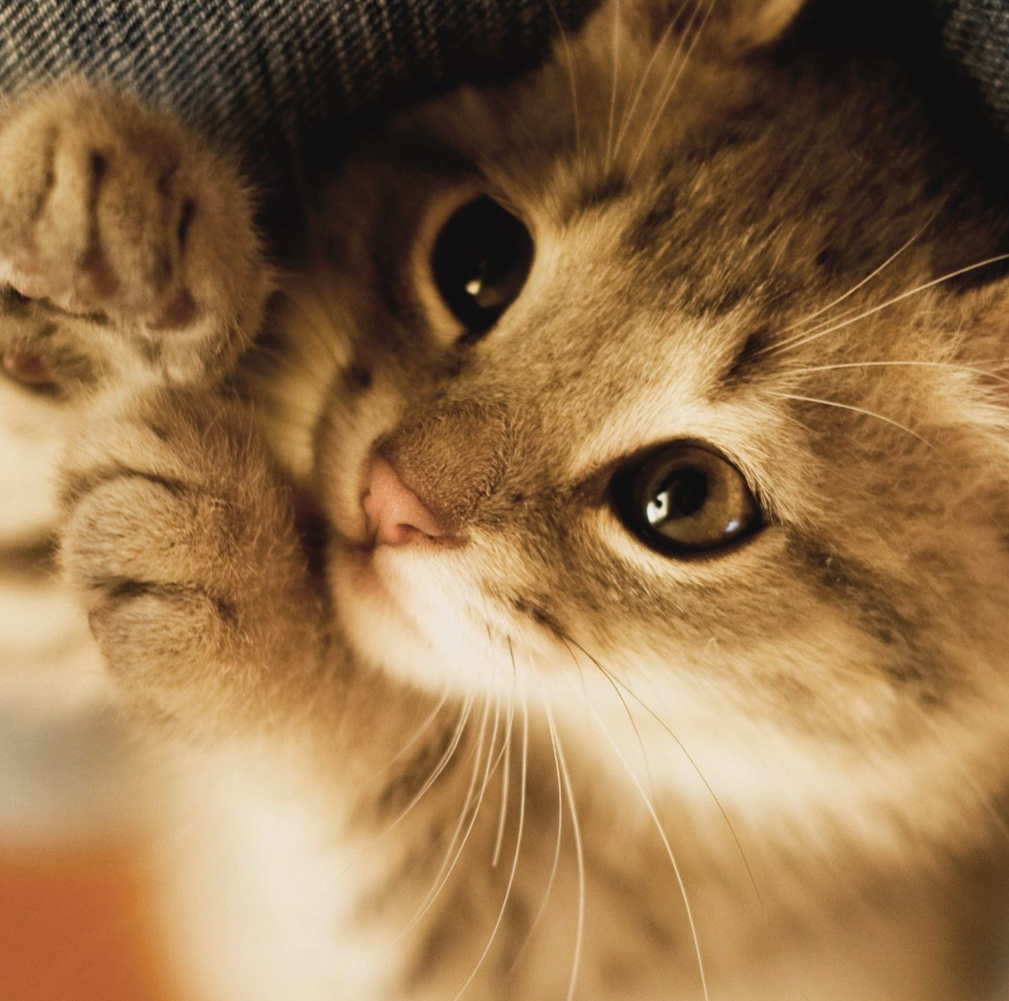 呆在月亮上数星星 