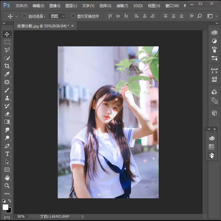 ps教程,小白自学照片创意分割效果