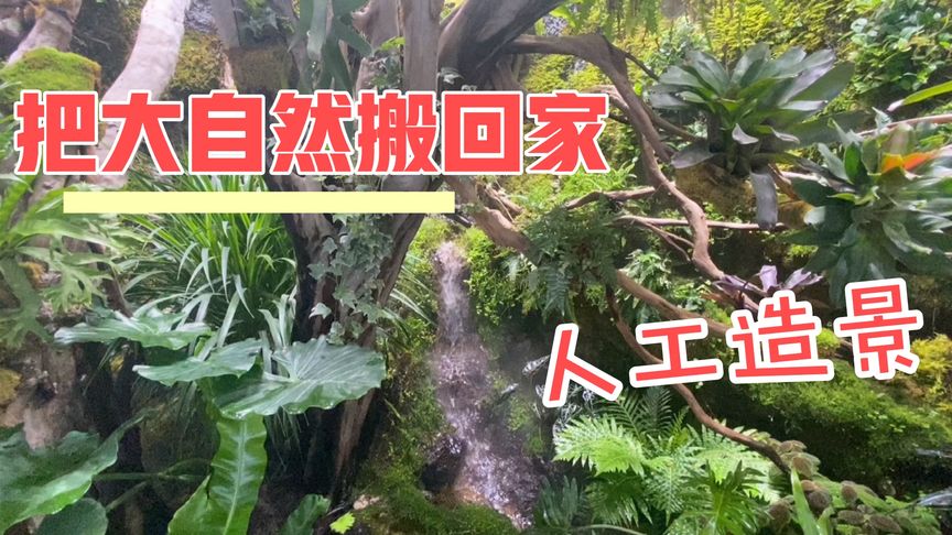 建在大厅里的:室内人工造景。把热带雨林搬回家,真漂亮!