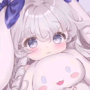 书诺呀 