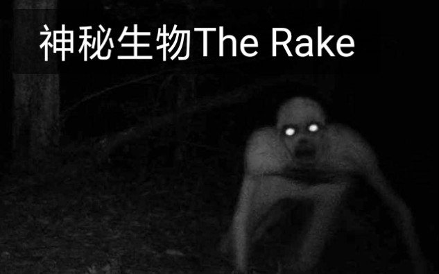 神秘生物The Rake