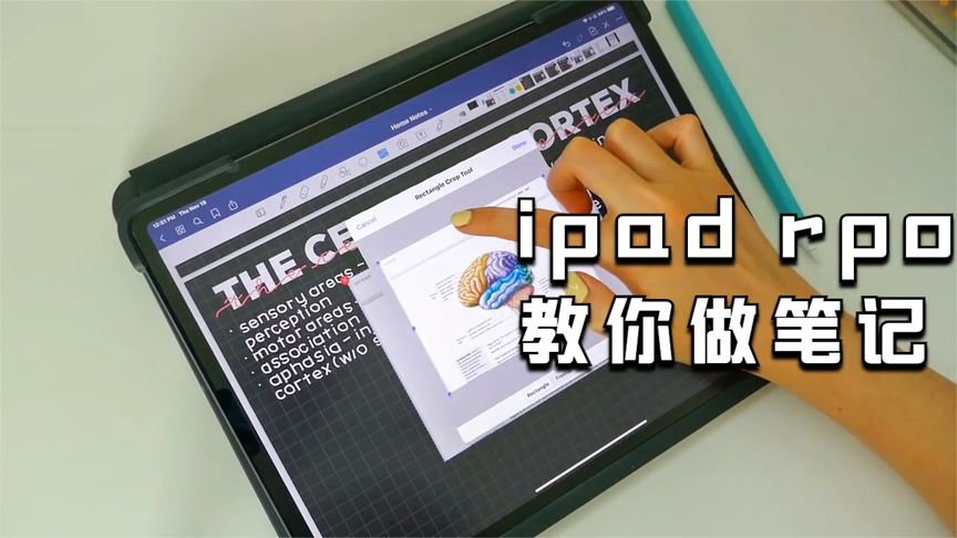 教你怎么用IPad Pro 来做笔记真的-很详细