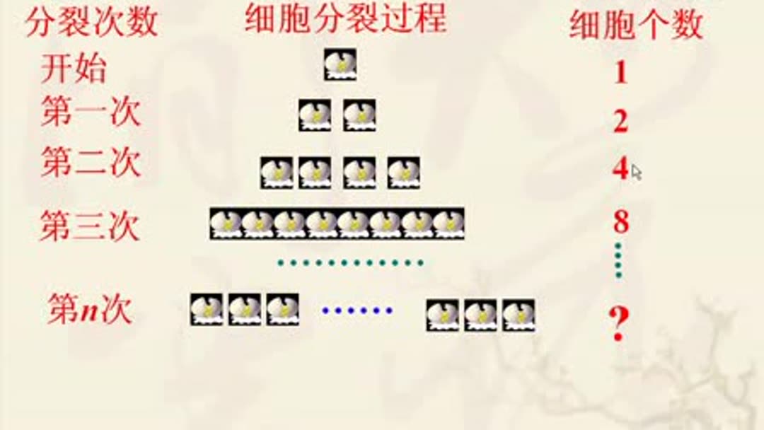 等比数列的概念及通项