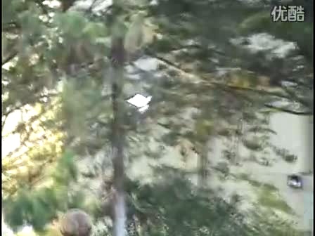 课外视频飞行器扑翼机2flight1_big