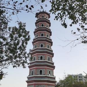 guoqinqin01 