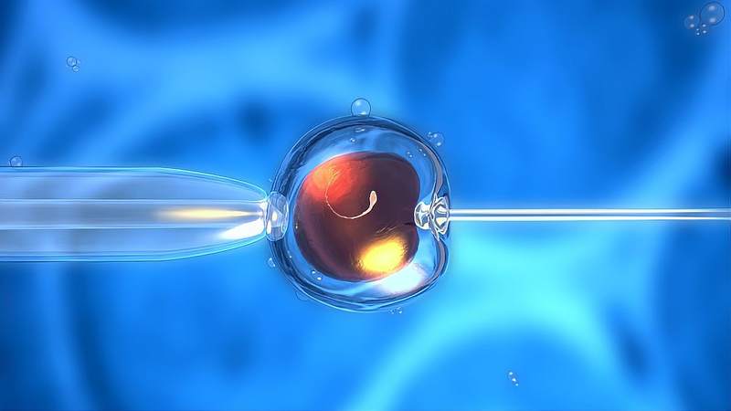 试管婴儿技术的好处有哪些？医生坦言：2个好处不妨了解下