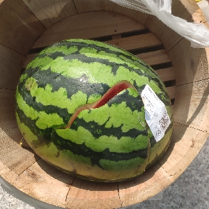 游you管趣事 