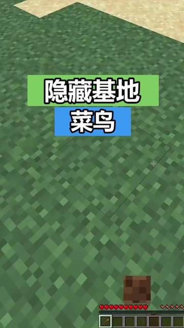 你是属于哪种类型的玩家呢我的世界我的世界春节皮肤7