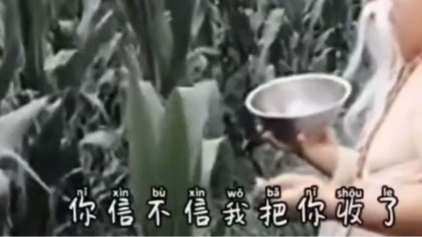 把你收了信不信