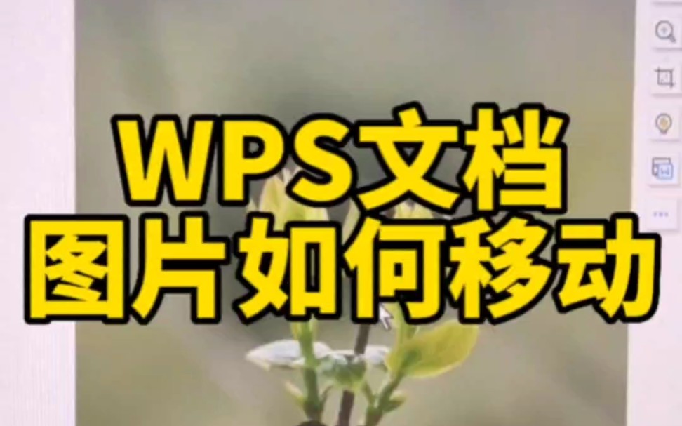 WPS文档如何移动图片