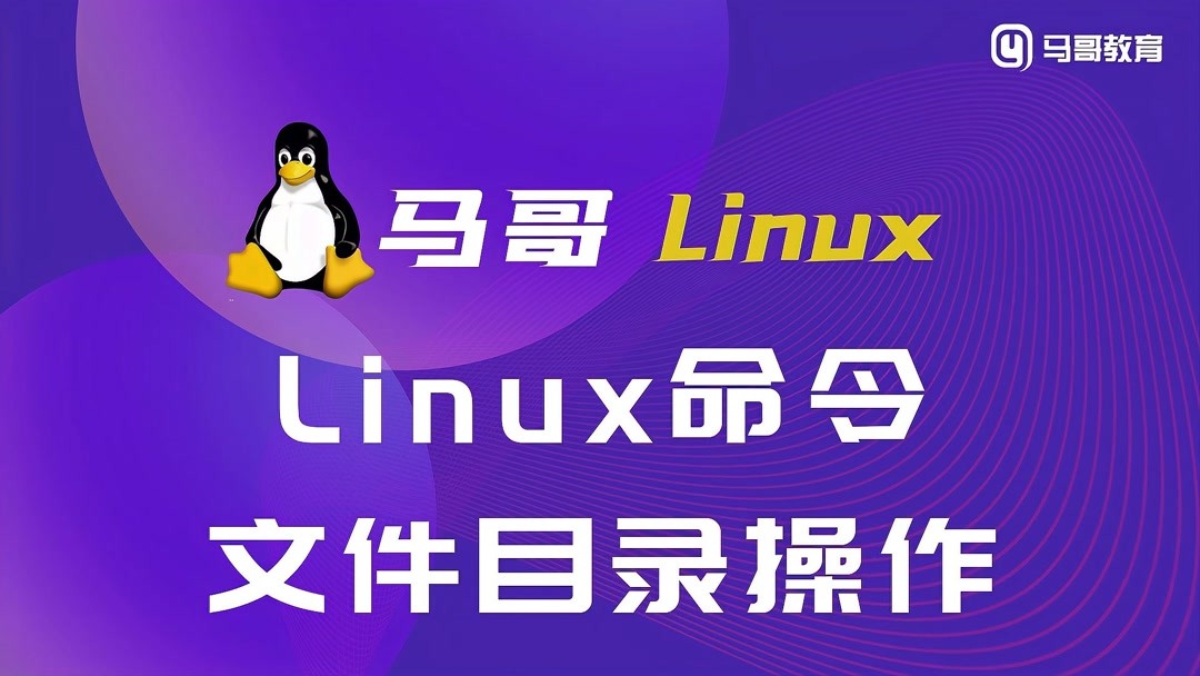 61Linux入门到精通-Linux命令_文件目录操作