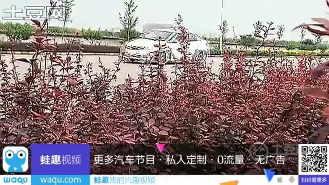 荣威350动力操控评测