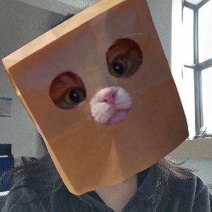 Lydia的人间李想 