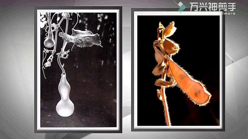 摄影技术课:想知道相机的各种曝光模式各自适用在哪些场景吗