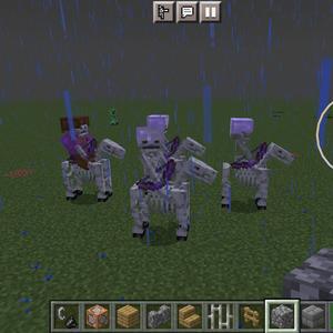 我的世界分享者 