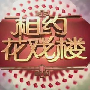 安徽卫视相约花戏楼 