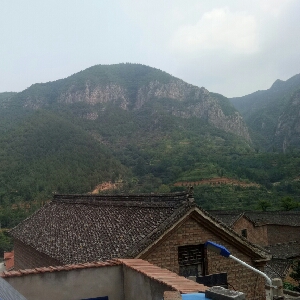 河北涉县的申江秋 