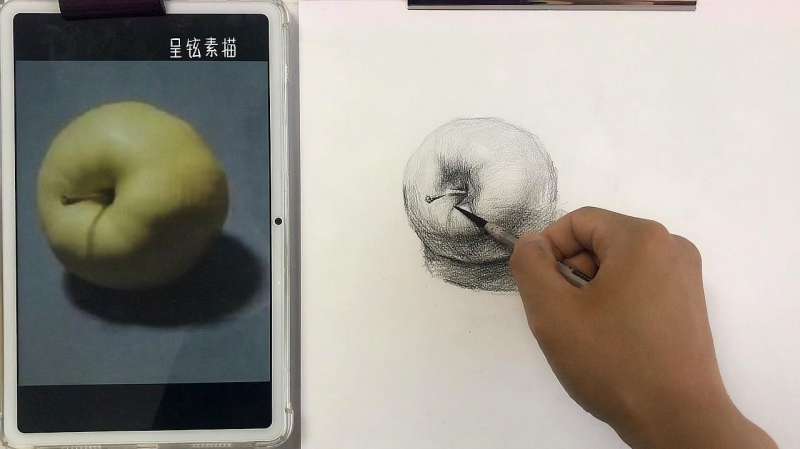 素描苹果！素描静物里最常见的水果