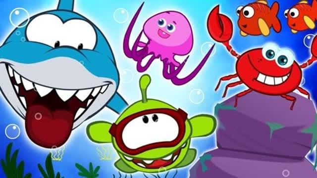 儿童卡通动画:和澳元一起学习海洋动物世界吧